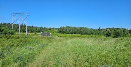 Shearstown Real Estate - Shearstown NL Homes For Sale | St. John's area ...